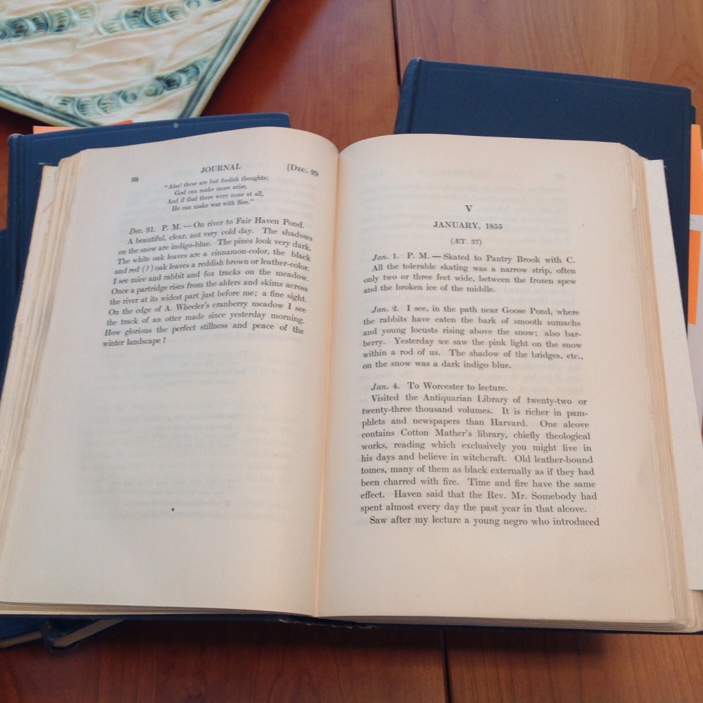 Firstling | Thoreau Farm